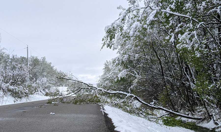 Home | Strathcona County