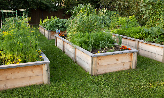 Community Garden program | Strathcona County